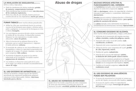 Ecociencia Abuso De Drogas Tarea Tercero Medio