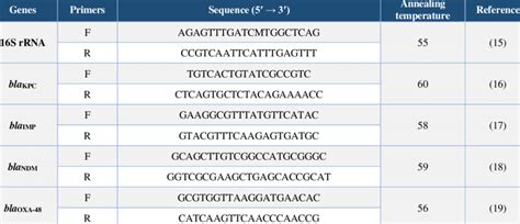 Pcr Primers Used For Final Identification Of E Coli Isolates And Download Scientific Diagram