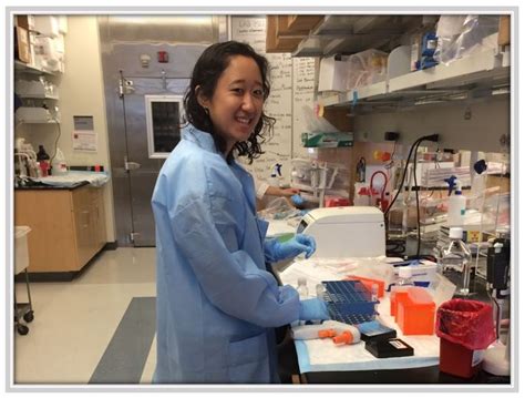 Program Requirements Unc Md Phd Program