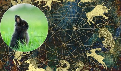 2023 рік кого Чорного Водяного Кролика Главред