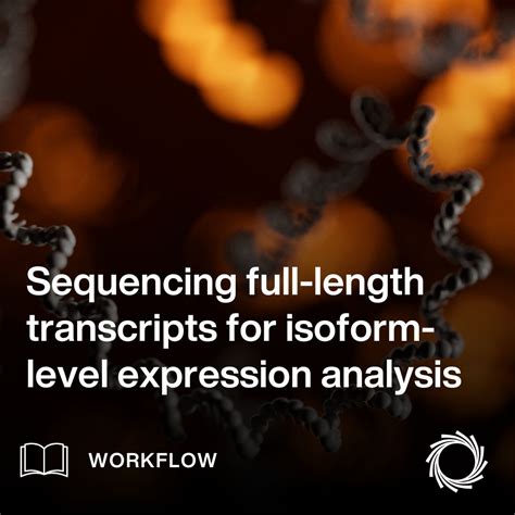 Workflow Overview Bulk Transcriptomics Oxford Nanopore Technologies