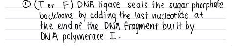 Solved 1 T Or ﻿f ﻿dna Ligase Seals The Sugar