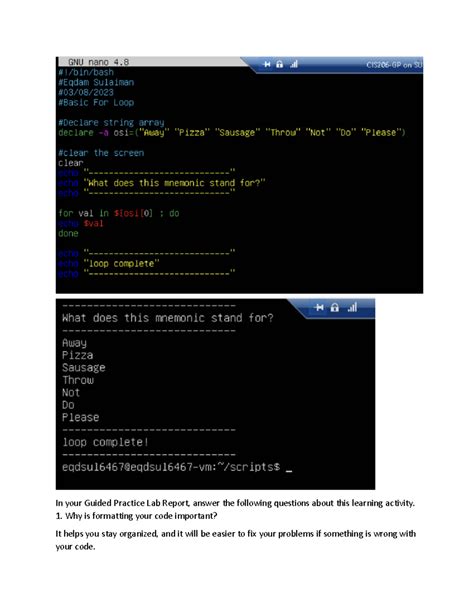 Using Looping Constructs In Your Guided Practice Lab Report Answer