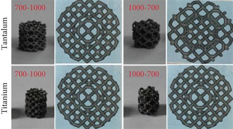 The General Image And The Cross Section Of The Tantalum And Titanium Download Scientific