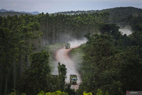 Intensitas Pembangunan Di Wilayah Ikn Antara News