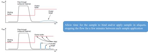 Affinity Chromatography Creative Biostructure