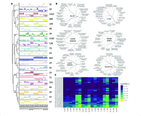 Eigenvalue Barplot For Co Expression Analysis A Each Plot Depicts Download Scientific