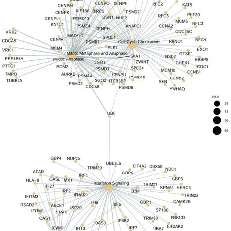 Differential Expression Analysis A Principal Component Analysis