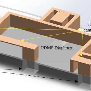 Schematic Section Of The Proposed Sensor Download Scientific Diagram