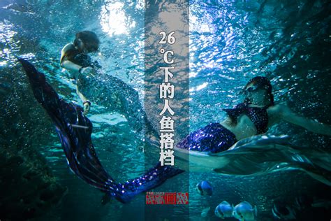 水族館の人魚姫、舞台裏に迫る中国網日本語