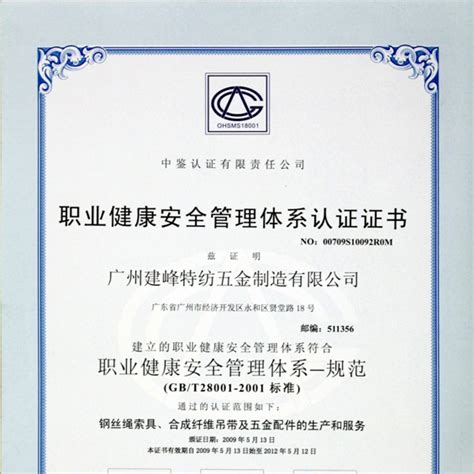 Gbt 28000《职业健康安全管理体系》百度百科