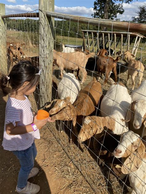 Gaver Farm Is The Fall Festival To Go To In Maryland