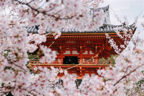 Tokyo Album On Imgur