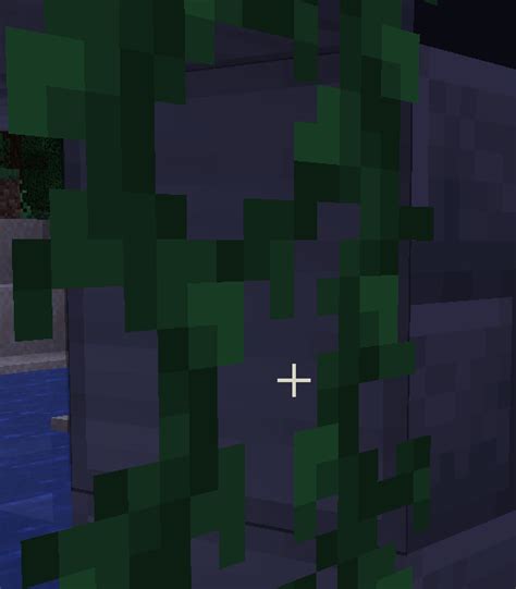 You Cant Break Vines On A Portal · Issue 174 · Iportalteamimmersiveportalsmod · Github