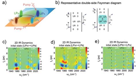 Direct Creation Of Intercavity Coherence Superpositions Between Download Scientific Diagram