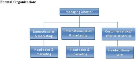 Organizational Design And Structure Definition Elements Types Pros Cons StudiousGuy