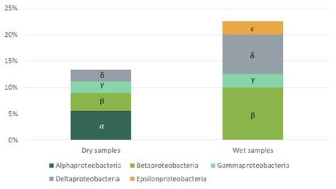 Comparison Of Observed Proteobacteria Taxon In Dry And Wet Sediments Of Download Scientific