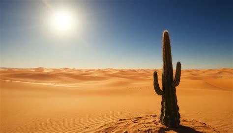 Dünyanın En Sıcak Yeri Neresi Death Valley Sıcaklık Rekoru Çöl İklim