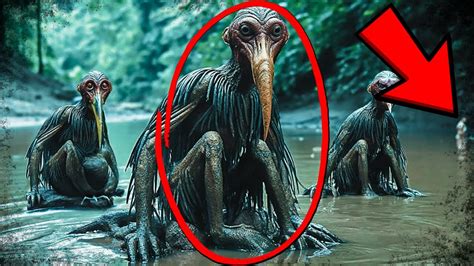 Eles Gravaram Isso Na Selva Amazônica e Ninguém Consegue Acreditar
