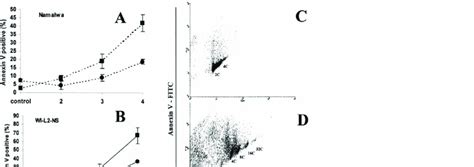 Protection Of Polyploid Cells From Apoptosis After Irradiation Cell