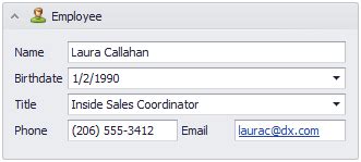 Layout Group S Settings WinForms Controls DevExpress Documentation