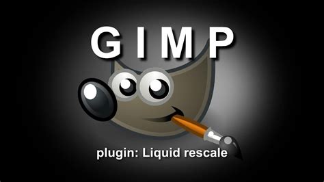 Fotobewerken In Gimp Plugin Liquid Rescale YouTube