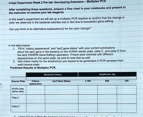 VIDEO Solution CRISPR Experiment Week Pre Lab Genotyping Extension Multiplex PCR After