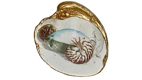 Seashell Decoupage Clam Shell With Nautilus Motif Xl Ocean Inspired