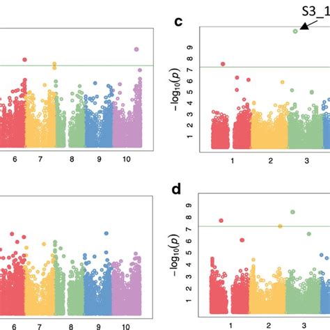 Gwas For Grain Mold Resistance In Sorghum Landraces At Bako A B