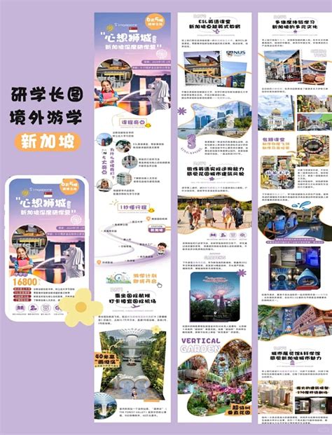 新加坡研学长图 国外境外游学海报