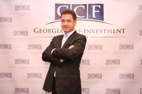 ბაჩიაშვილმა თანაინვესტირების ფონდის Ceo დან მრჩეველთა საბჭოს