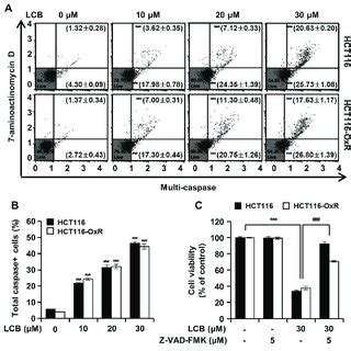 LCB Induces Multi Caspase Activation In CRC Cells CRC Cells Were