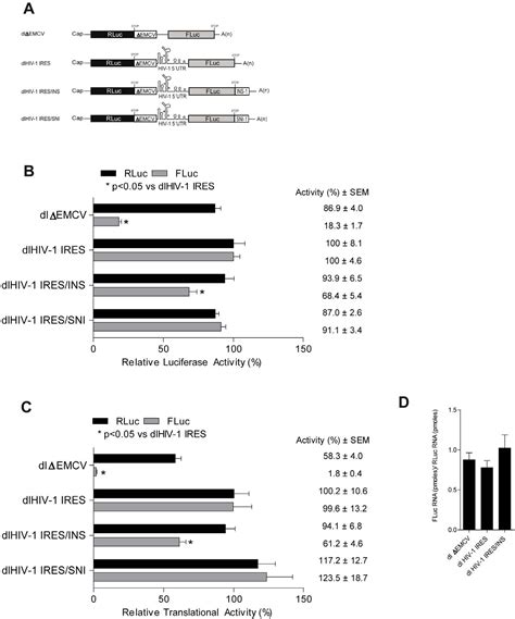 Figure 1 From A Cis Acting Element Present Within The Gag Open Reading
