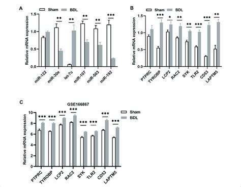 Verification Of Demisdems In Bdl Induced Cholestatic Mice A Hepatic Download Scientific