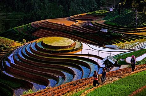 Tour Du Lịch Mù Cang Chải Giá Rẻ Nhất 2025 Tour Hot