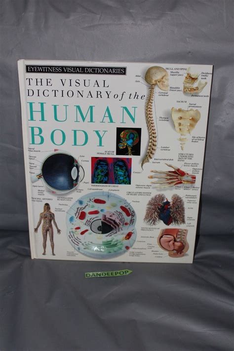 Dk Visual Dictionaries The Visual Dictionary Of The Human Body By