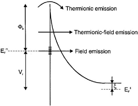 Figure 1 From Theoretical Analysis And Application Of Polymer Matrix