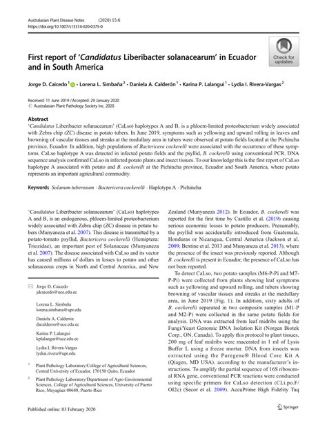 Pdf First Report Of ‘candidatus Liberibacter Solanacearum In Ecuador