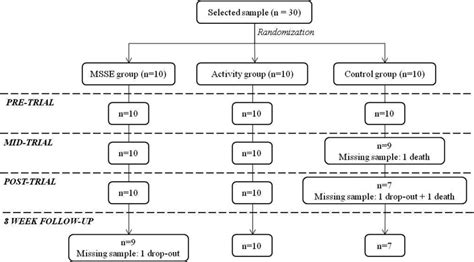 Consolidated Standards Of Reporting Trial Consort Diagram Msse