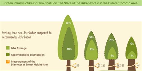 The Importance Of Cutting Your Tree The Blogging Of Weber 434
