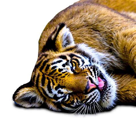 Download Sleeping Tiger Cub Png 75