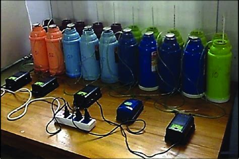 Test Arrangement For Determining Rate Of Volatile Solids Degradation