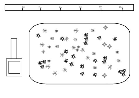 Ecological Sampling Quadrat Transect Interactive Notebook Foldable