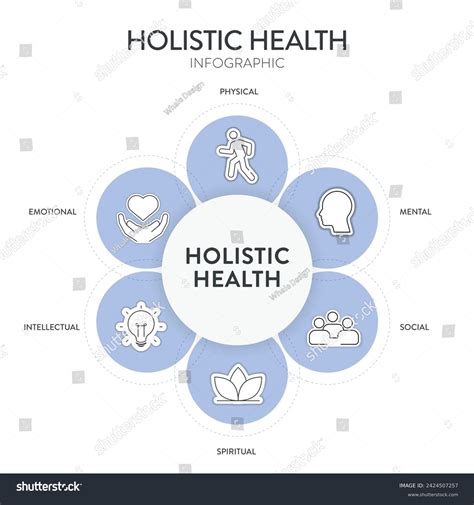 Holistic Health Framework Infographic Diagram Royalty Free Stock