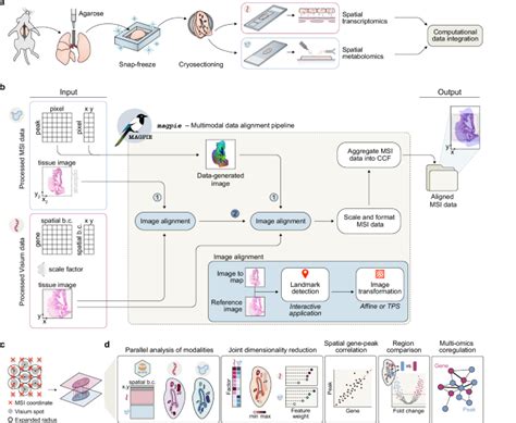 Spatially Resolved Integrative Analysis Of Transcriptomic And