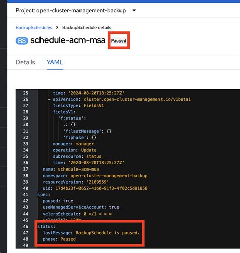 Prepare The Primary Hub Move Managed Clusters Using ACM 2 12 Backup Component Red Hat Developer
