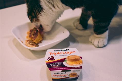 Solid Nutrition With Solid Gold Cat Food Cats And Coffee