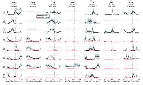 Emg Patterns From Eight Leg Muscles Of Subjects Walking With Nmc Emg Download Scientific
