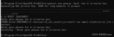 Openssl证书生成及自签名证书openssl给windows Server 2016生成自签名证书 Csdn博客