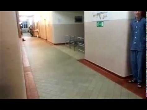 Komu Chuj W Dupie Chlupie Youtube